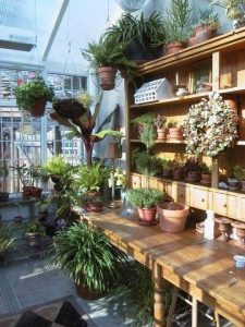 Grow It In A Greenhouse Conservatory Craftsmen